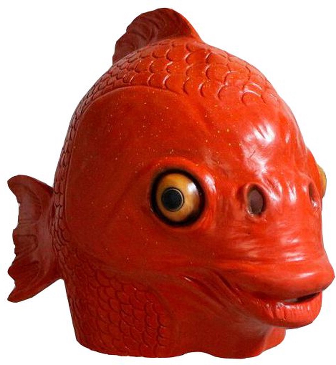 Vis masker (goudvis) | bol