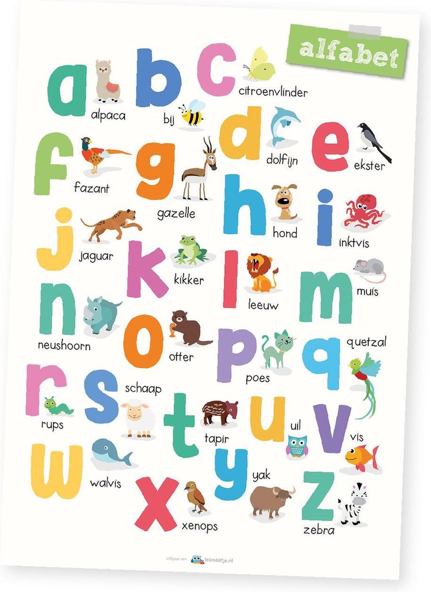 Lesmaatje.nl | Educatieve poster | ABC Alfabet | bol