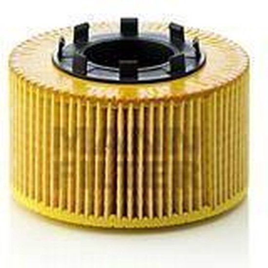 MANN FILTER Oliefilter HU920X | bol