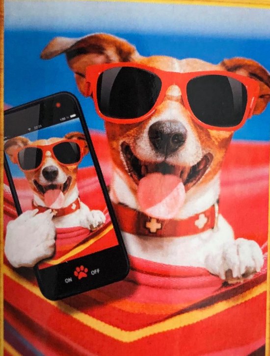 Diamond Painting Hond met Bril - Zomer - Grappig - Funny - Dog ...