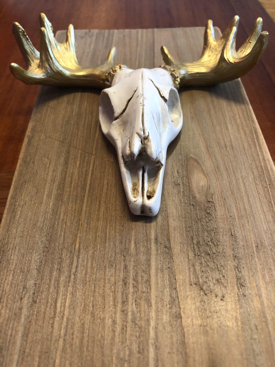 H&S Hangdecoratie Houten bord met Bok Schedel en gouden hoorn - 12 x 5 ...