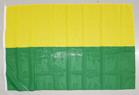 Vlag Den Haag 70x100cm spunpolyester | bol
