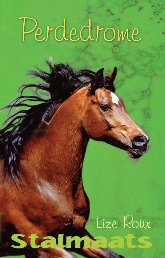 Stalmaats 1 (ebook), Lize Roux | 9780799356281 | Boeken | bol.com