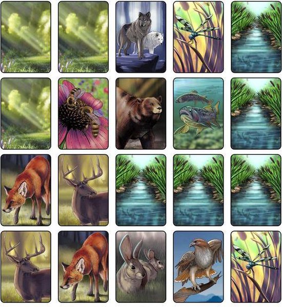 Ecosystem Card Game (English) | Games | bol