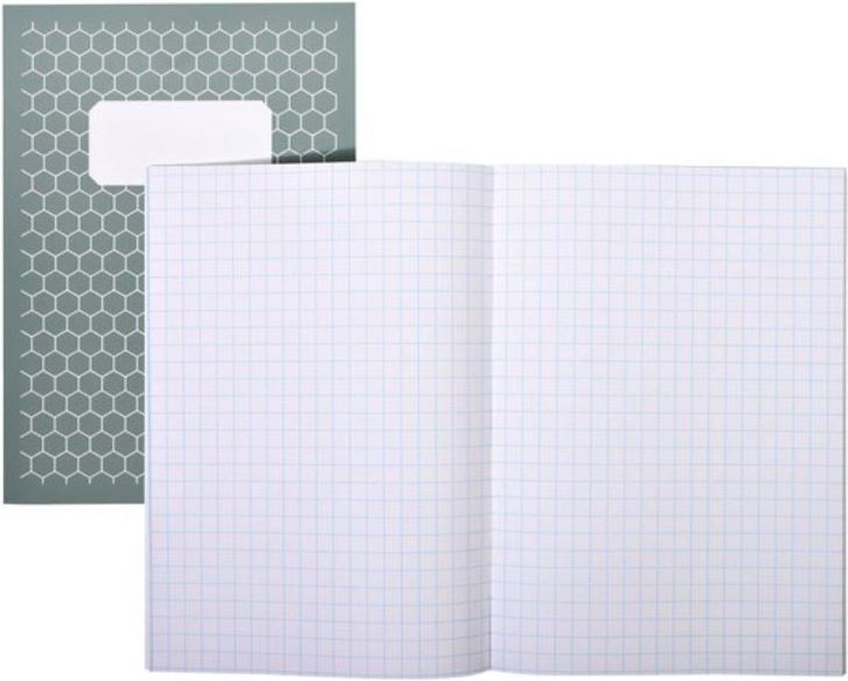 Schrift A4 ruit 10mm 70gr 80 blz 4+1 gratis | bol