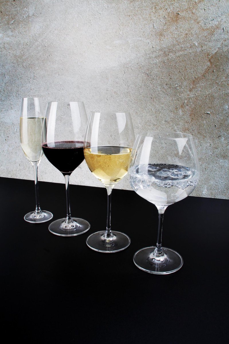 Salt&Pepper Cuvee witte Wijnglas Klein - 360 ml - 6 stuks | bol.com
