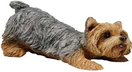 Sandicast - Yorkshire Terrier - M456 - | bol.com