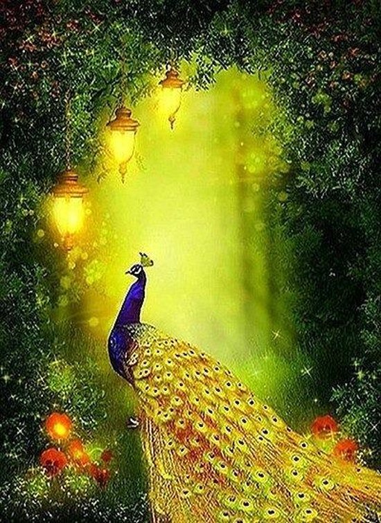 Premium Paintings - Gouden Pauw in het Bos - Diamond Painting ...