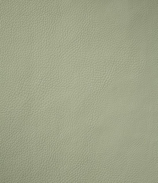 2x Monaco XL Placemat Green Tea - lederlook - Groen - rechthoek ...