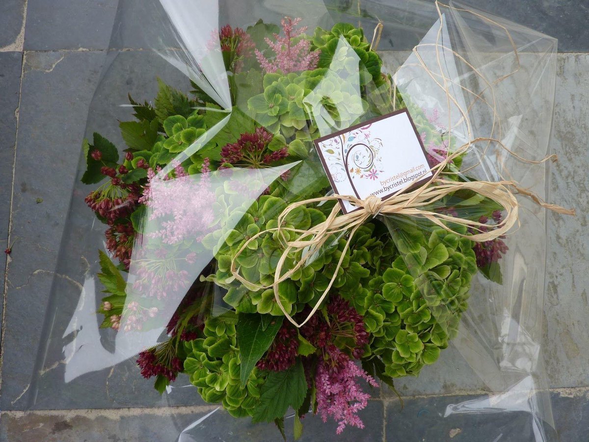 Folie transparant - bloemenfolie - Cellofaan - inpakfolie 500x70cm | bol