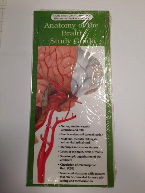 Anatomy of the Brain Study Guide, Lippincott | 0758996001456 | Boeken ...