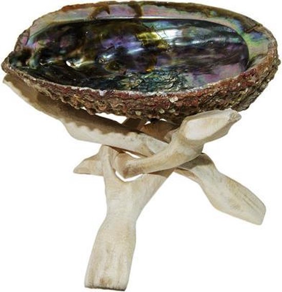 Cobra 3 poot standaard met abalone schelp - houten poot - driepoot ...