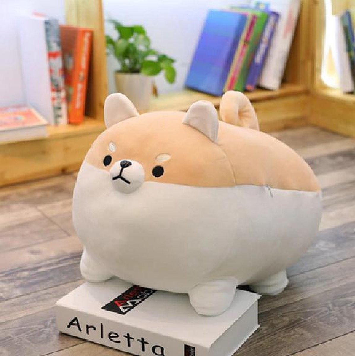 Shiba inu knuffel - 40cm - fat shiba inu - shiba inu - chonk plush ...