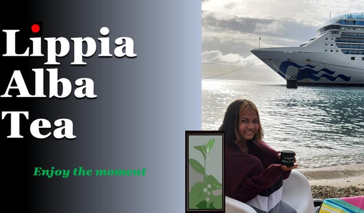 bol.com | Lippia Alba Tea