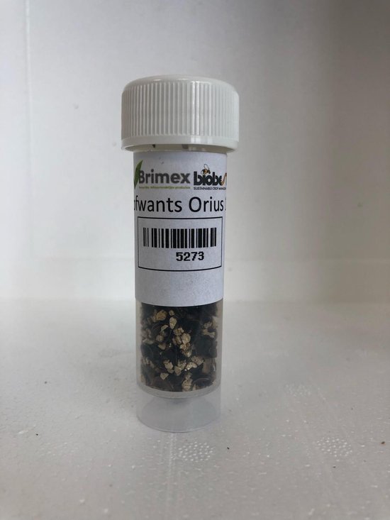 Brimex roofwants Orius system 100 stuks tegen trips | bol