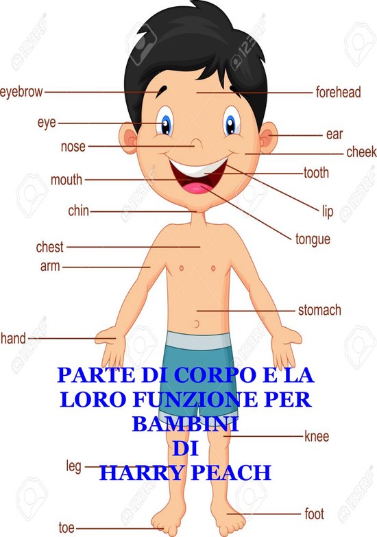 PARTE DI CORPO E LA LORO FUNZIONE PER BAMBINI (ebook), Harry Peach ...