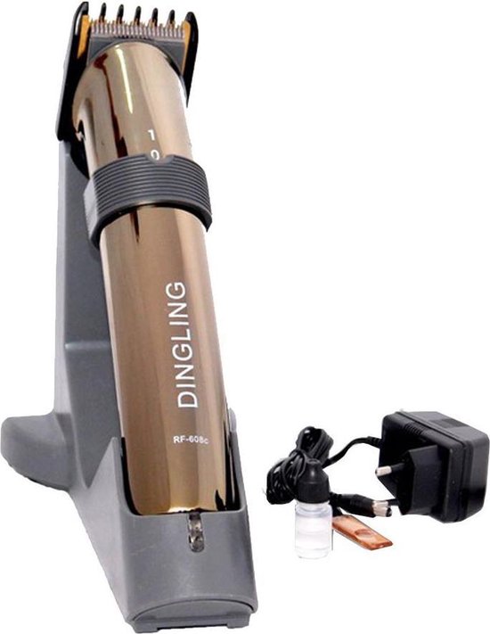 Dinglong RF-608C | bol