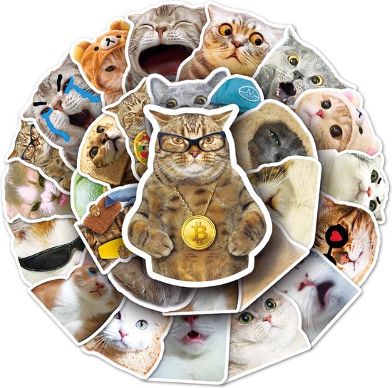 Grappige Katten Stickers - Cat Meme katten sticker set - 50 stuks - Voor laptop,... | bol