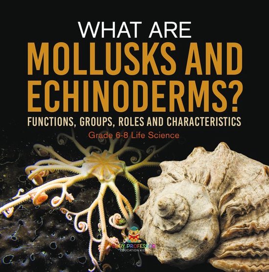 What are Mollusks and Echinoderms? Functions, Groups, Roles and ...