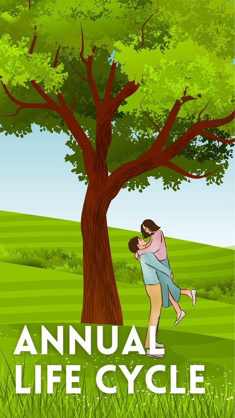 Annual Life Cycle (ebook), hari salahudin | 1230006181512 | Boeken | bol
