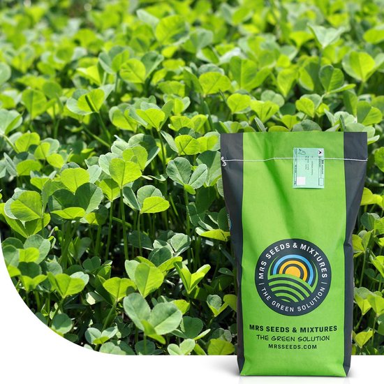 MRS Seeds & Mixtures Microklaver - Gazonklaver - Jaarrond groen gazon ...