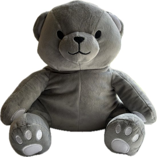 Teddy beer met dekentje | bol