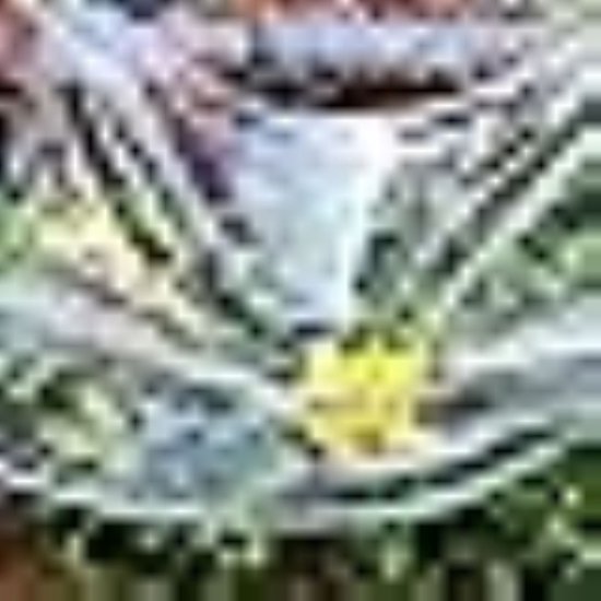 Transparant zeil met ogen, waterdicht afdekzeil, transparant, 0,3 mm ...