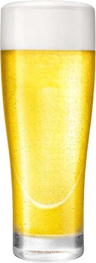 Professionele Bierglazen - (6 stuks) - 250ml - Bierglas - Bier - Glas - 25cl/0.25L -... | bol