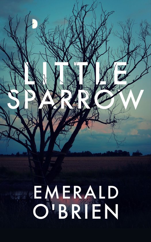 Little Sparrow (ebook), Emerald O'Brien | 1230008174277 | Boeken | bol