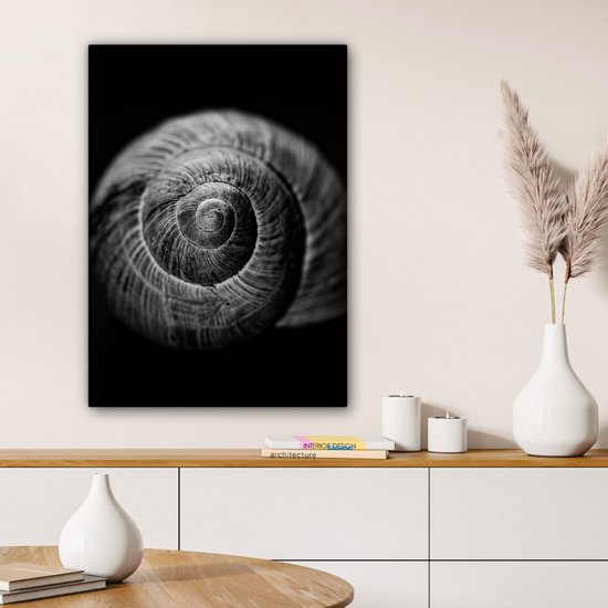 Canvas - Dieren - Slak - Zwart - Wit - Canvas doek - 60x80 cm ...