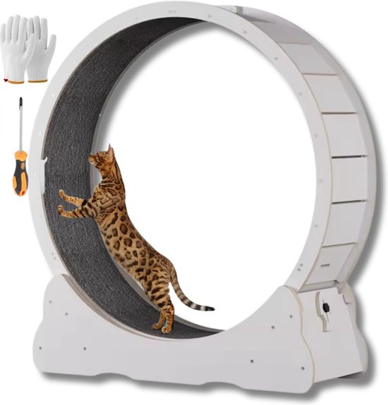 Loopwiel kat - Katten loopwiel - Looprad kat - Kattenwiel - Looprad ...