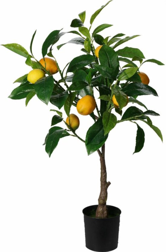 H&S Collection Kunst citrus boom in pot - citroen - 70 cm - kunstplant ...