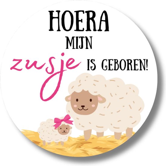 Traktatiestickers Zusje Geboren | Roze | 20 stuks | 4 cm | Geboorte ...