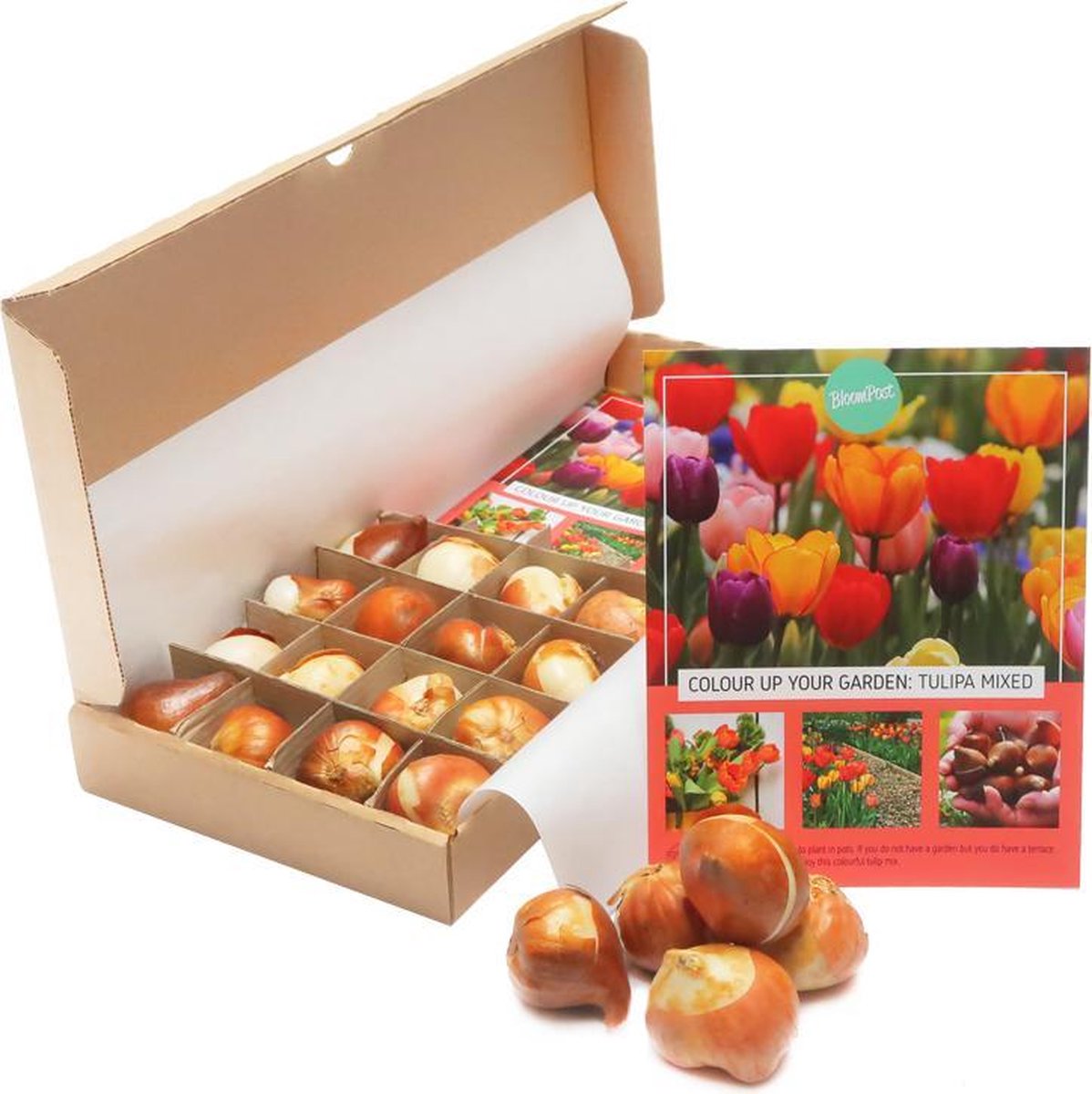 Tulpen bollen | Brievenbus cadeau | bloembollen | bol.com