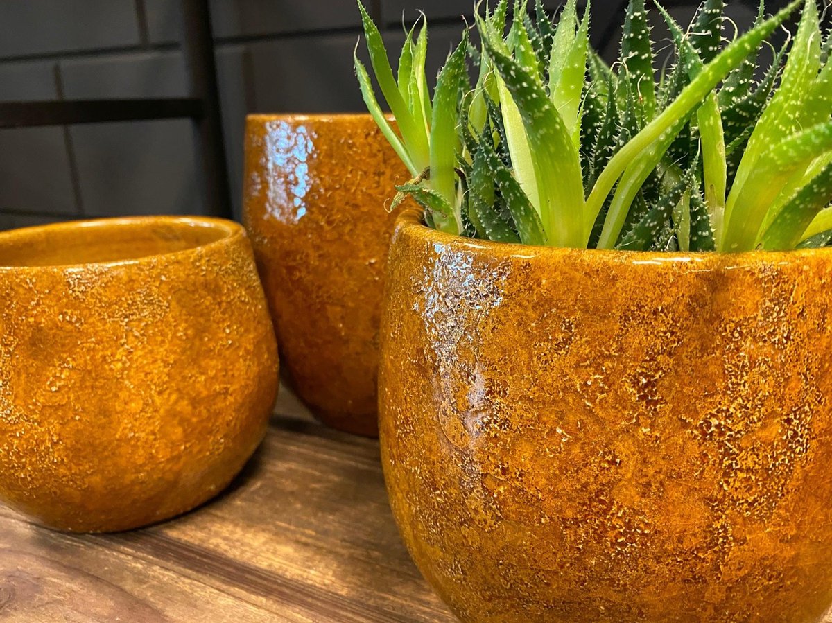 Gele Pot Muro | bol.com