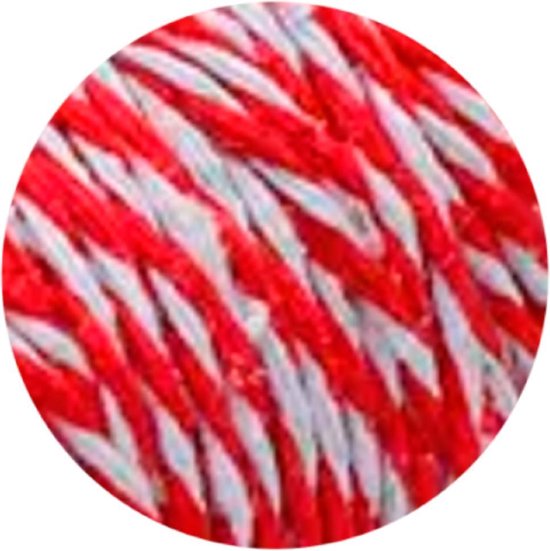 10 Hangkaartjes- Kerst- met touw-Rood- Boompje- Ster- Cadeau ...