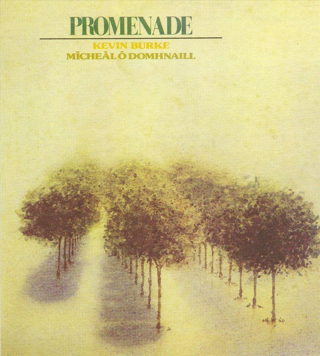 Promenade, Kevin Burke & Micheal O'Domhnaill | CD (album) | Muziek | bol