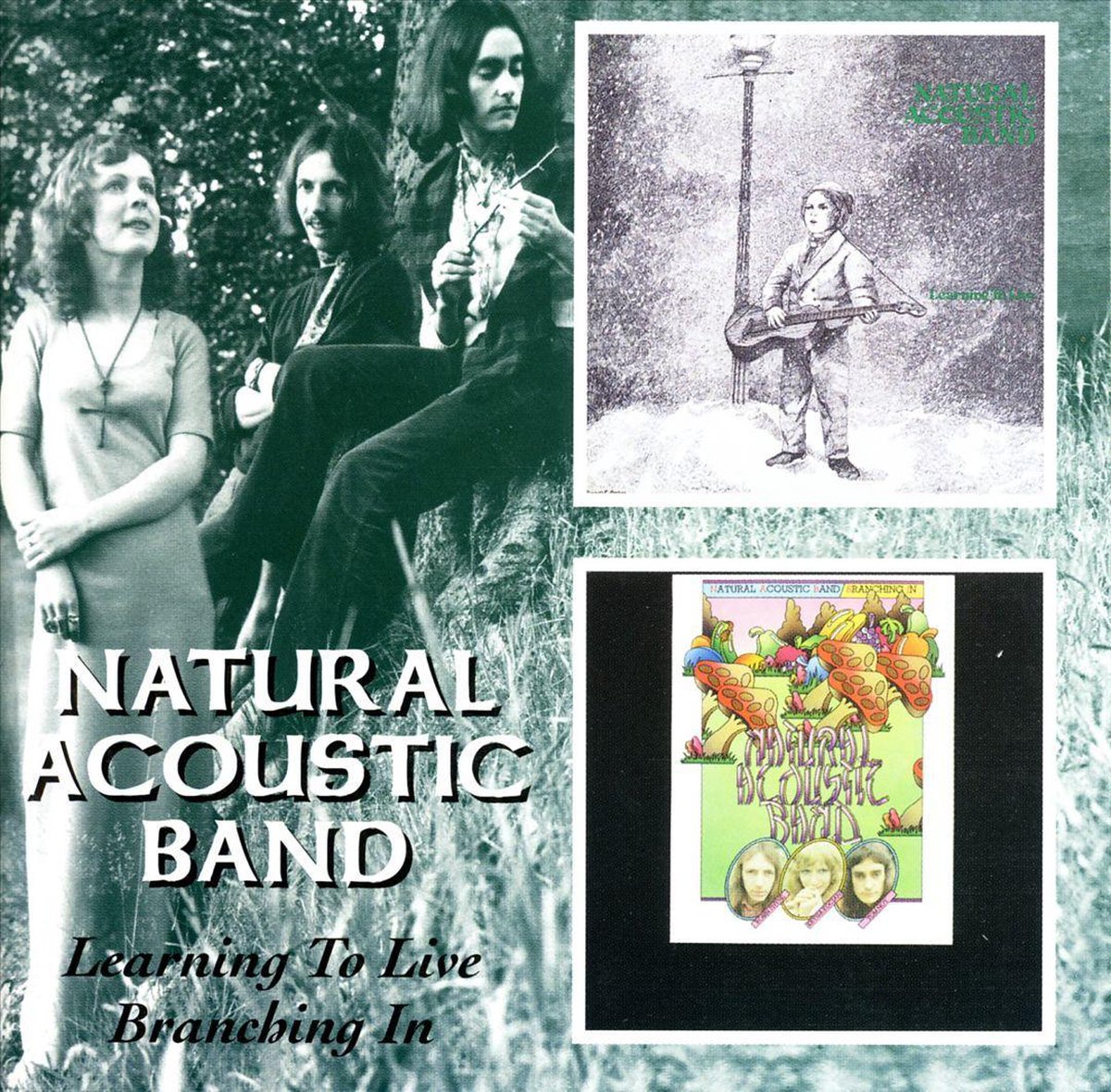 Learning to Live/branching In, Natural Acoustic Band | CD (album ...