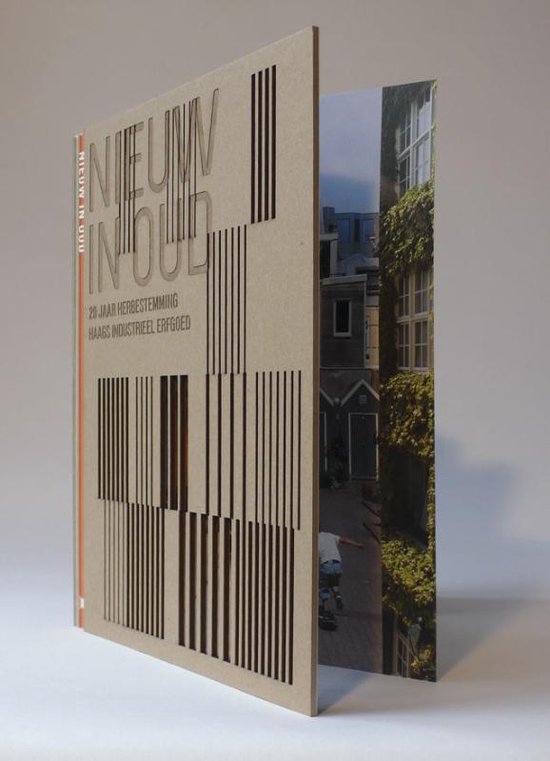 Nieuw in Oud, Koos Havelaar | 9789078824008 | Boeken | bol