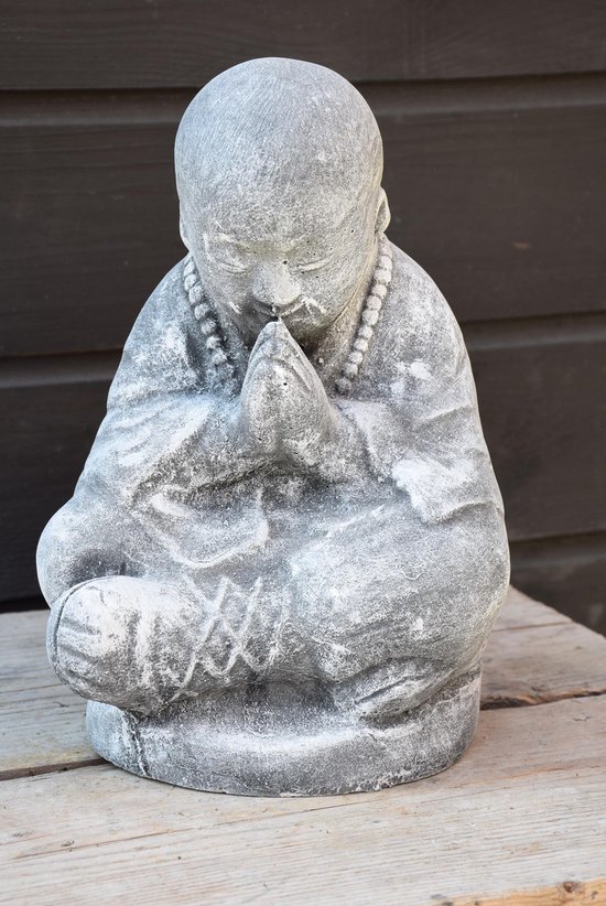 Shaolin Monnik, voor binnen en buiten | bol