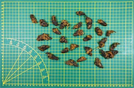 Kippenhartjes - Hondensnacks Gedroogd Kip - 1000 gram | bol