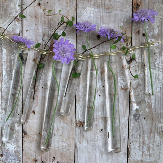 Comforder 12 Reageerbuisjes met Rand - Glazen Proefbuisjes ...