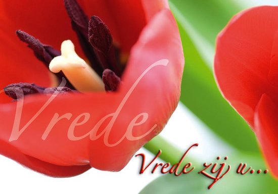 Wenskaart 10x15 cm - Vrede zij u... - met Bijbeltekst - set van 10 ...
