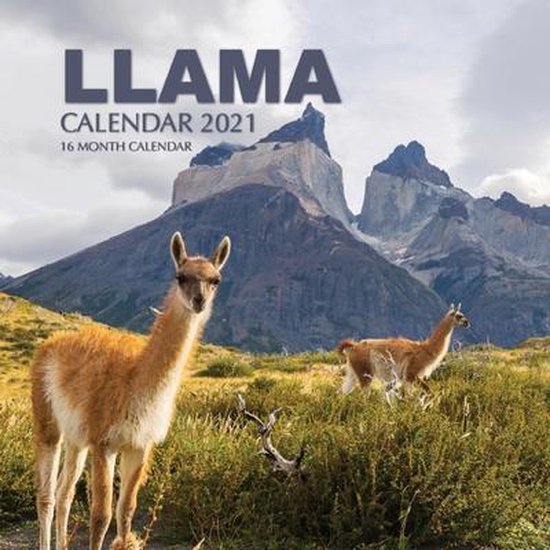 llama Calendar 2021, Golden Print | 9798554569074 | Boeken | bol.com