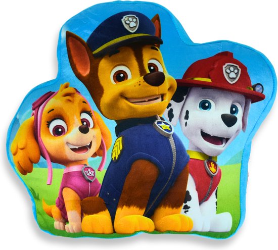 Paw Patrol & Friends Pluche Fun Sierkussen - 35 x 35 x 15 cm | bol