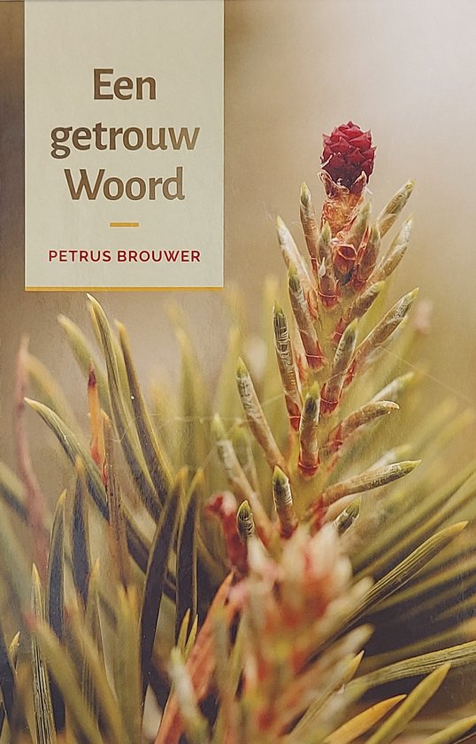 Getrouw woord, Brouwer, Petrus | 9789463350655 | Boeken | bol