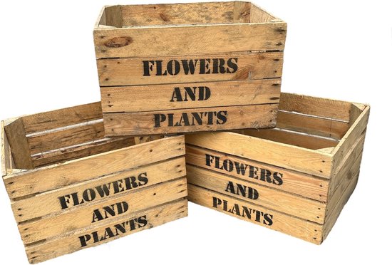 Fruitkist (Gebruikt) - Flowers and Plants | bol