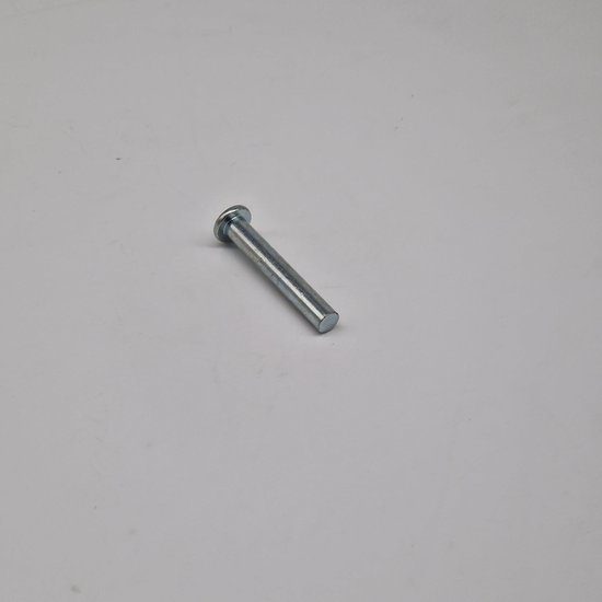 KWEEK - Borgpen met bolkop M8x50, Set van 50 | bol