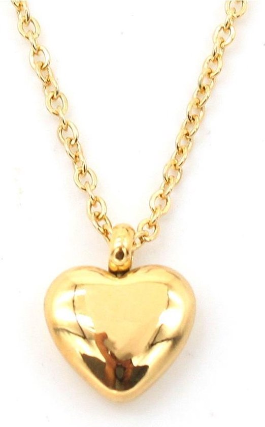 Ketting met Hart - RVS - Lengte verstelbaar 40-45 cm - Goudkleurig ...