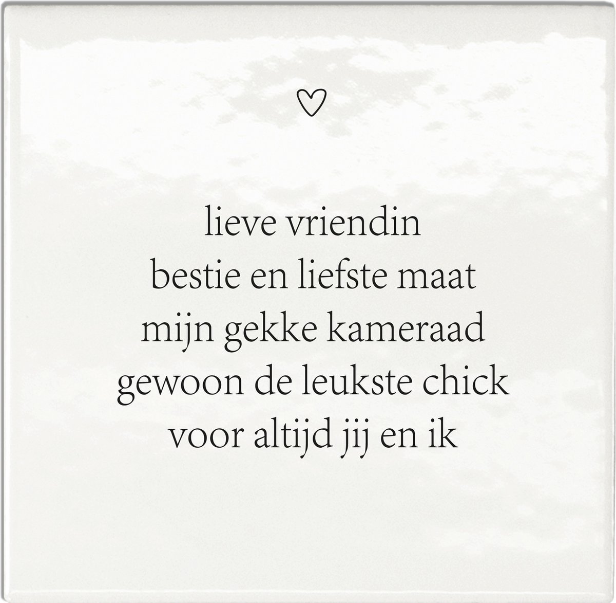 Tegeltje met tekst | Vriendin, bestie en liefste maat ...